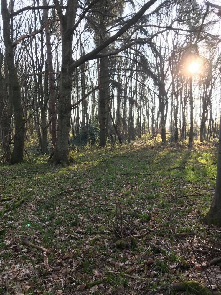 Steve Greaves Outdoors – High Quality Forest School and Outdoor Leader ...
